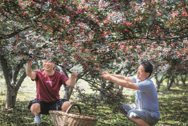 TheoryChina - Theoretical Frontiers - CPC Leadership Group of the ...